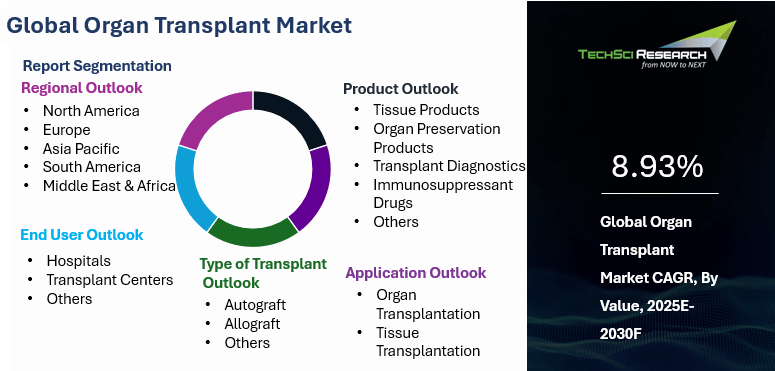 Organ Transplant Market By Size, Share, Trends, Growth, and Forecast 2030